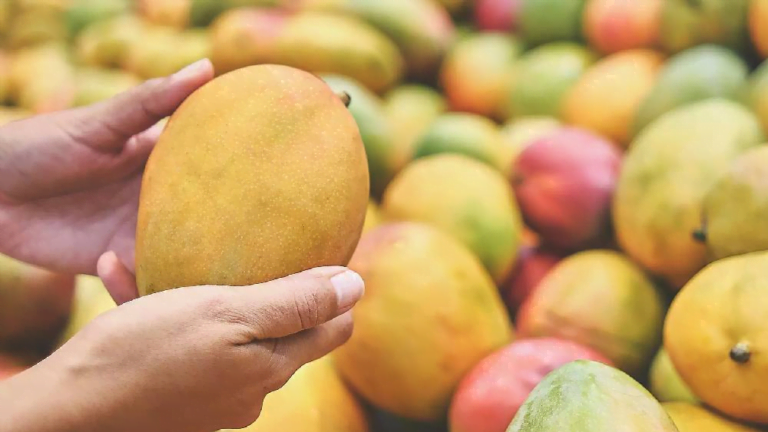 Tips for Identifying Chemically-Ripened Mangoes: A Guide for Consumers ...