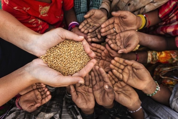 World Bank Issues Warning on Escalating Global Food Insecurity in 2023 ...