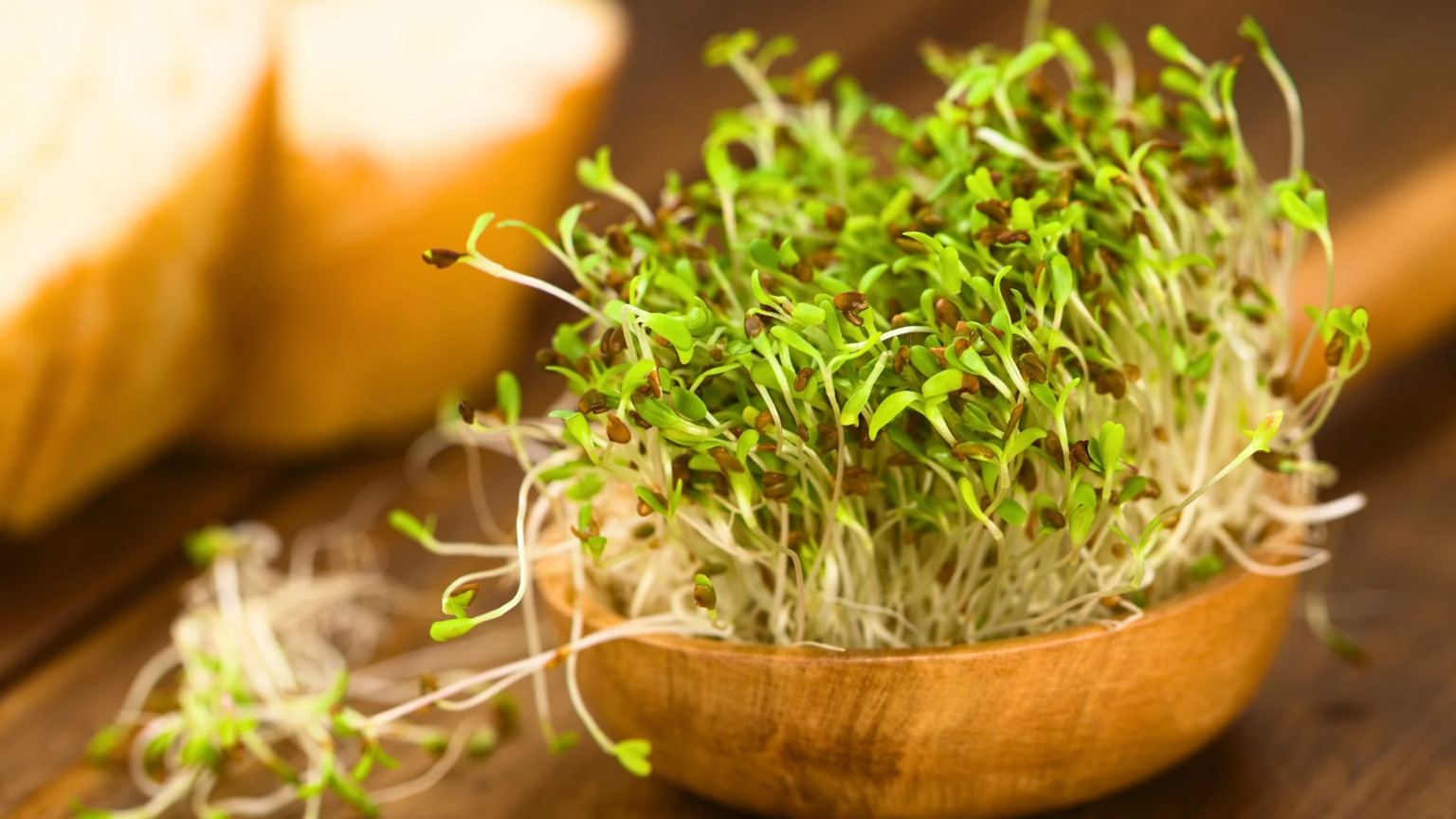 Food Safety Concerns with Contaminated Bean and Seed Sprouts: A Global ...