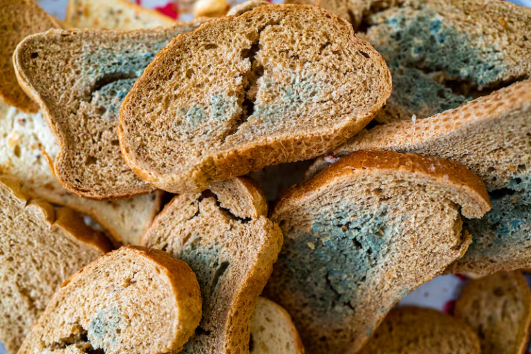 Molds on Food: Are They Dangerous? - Global Food Consumers Forum