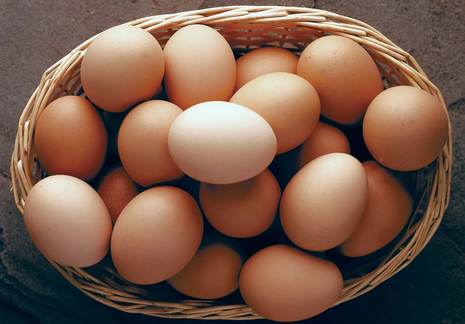Egg Products and Food Safety: What You Need to Know - Global Food ...