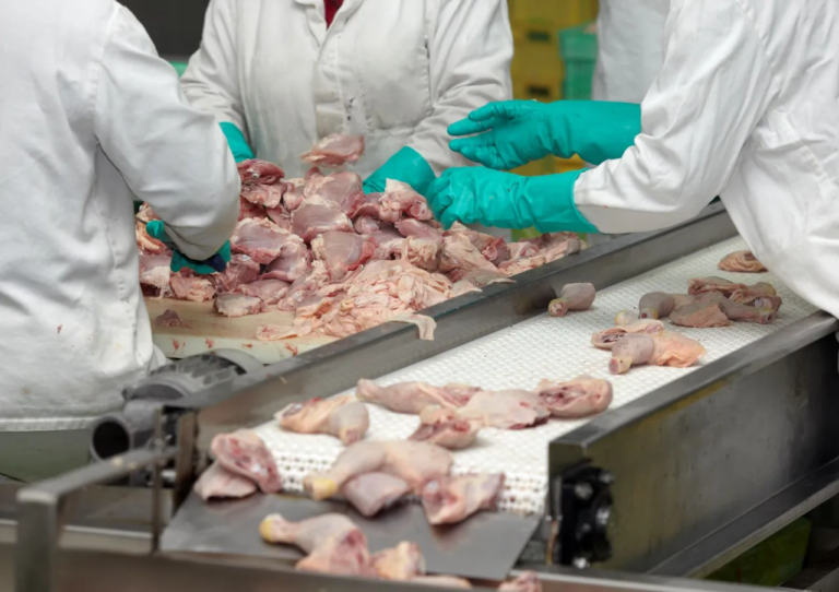 Water in Meat & Poultry: What Consumers Should Know - Global Food ...